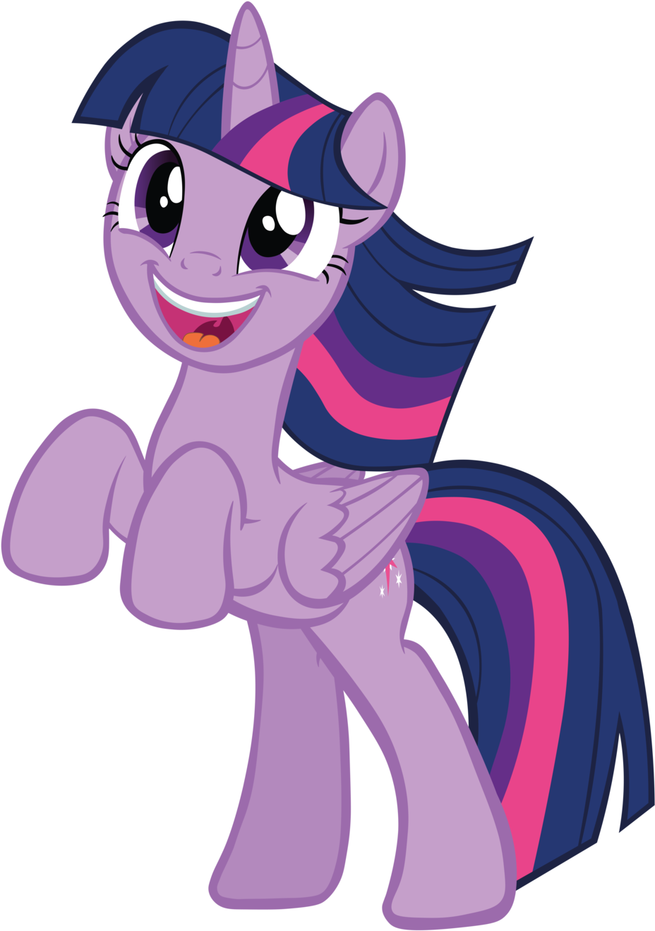 Download Princess Twilight Sparkle Images Twilight Sparkle Smiling ...
