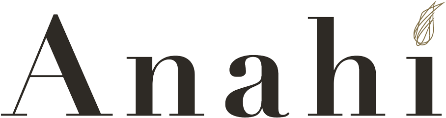 Download Logo - Anahi - Anahi Paris - Full Size PNG Image - PNGkit