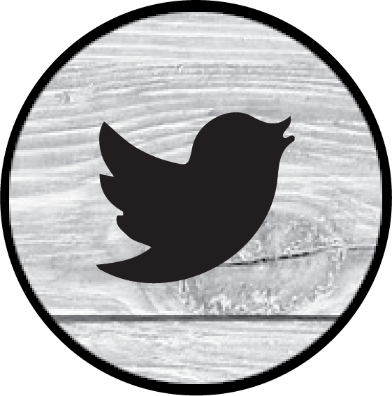 Download Twitter - Full Size PNG Image - PNGkit