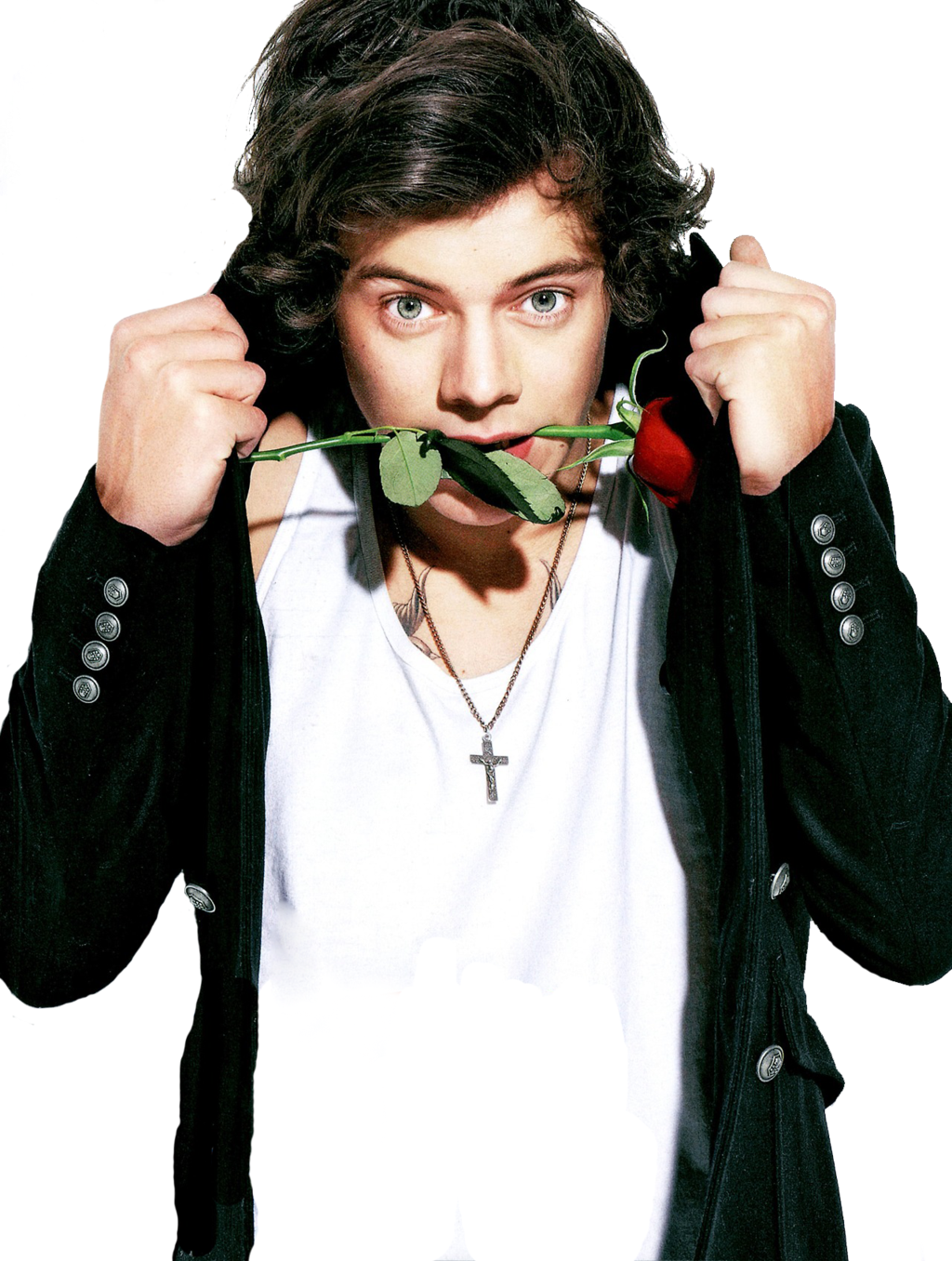 Download Harry Styles Favorite Color Png Harry Styles Favorite - Harry ...