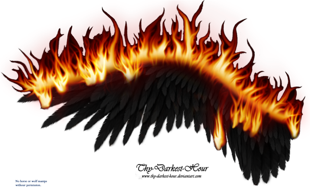 Download Wings Png And Bg - Black Wings On Fire - Full Size PNG Image ...