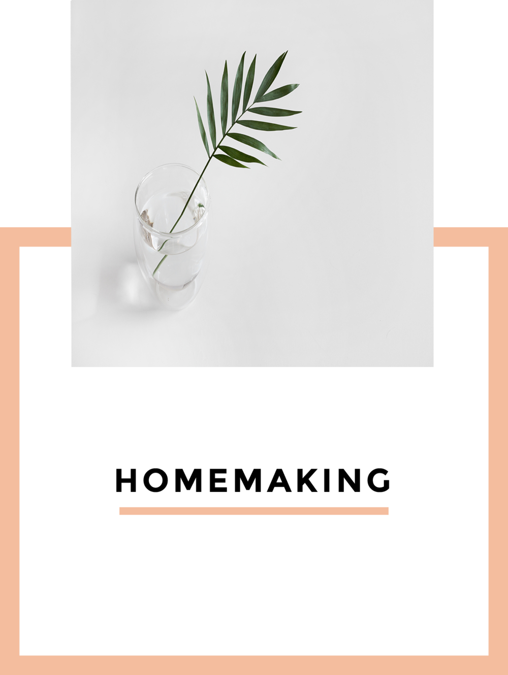 Download Homemaking - Agave - Full Size PNG Image - PNGkit