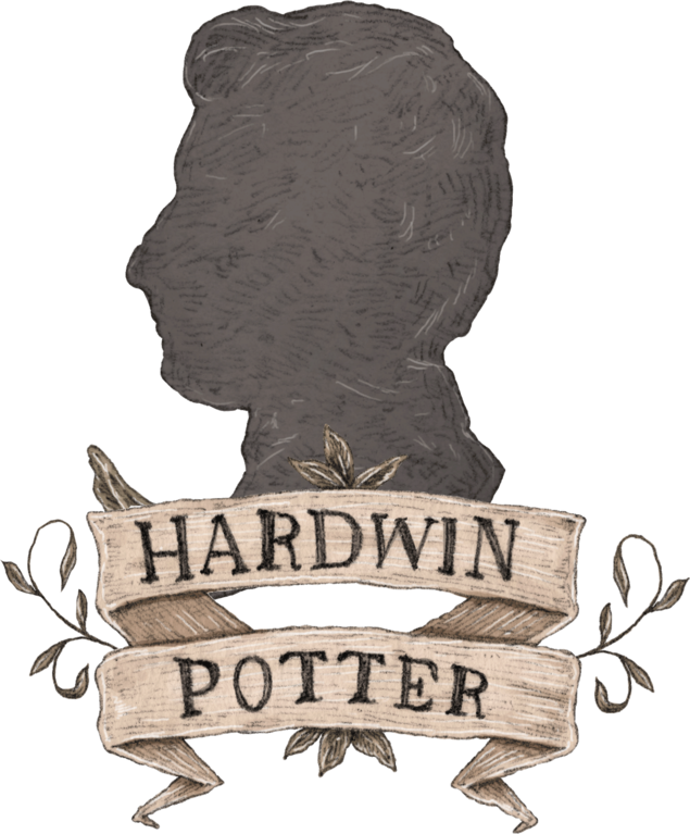 Download Hardwin Potter - Ralston Potter - Full Size PNG Image - PNGkit