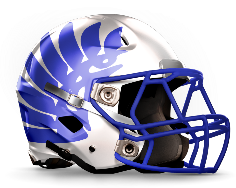 Download Michigan Football Helmet Png - Full Size PNG Image - PNGkit