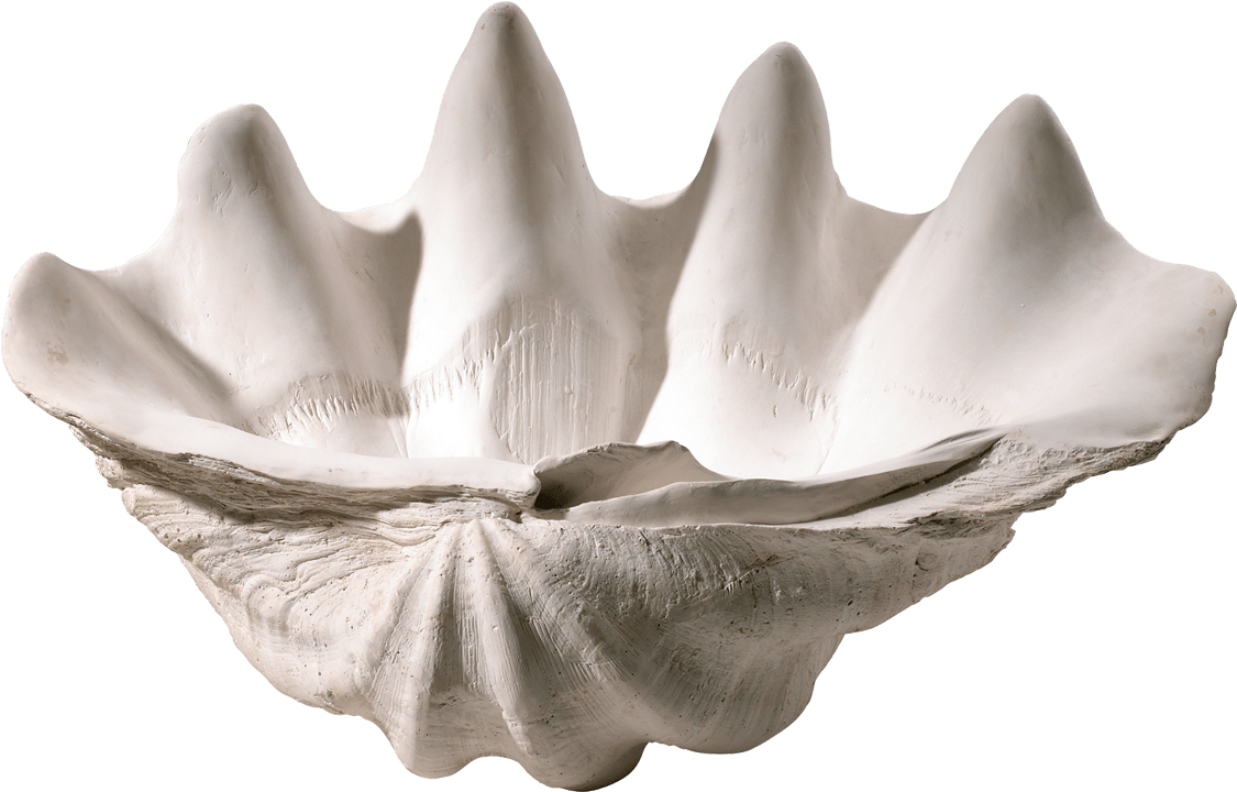 Download Large Shell Bowl - Full Size PNG Image - PNGkit
