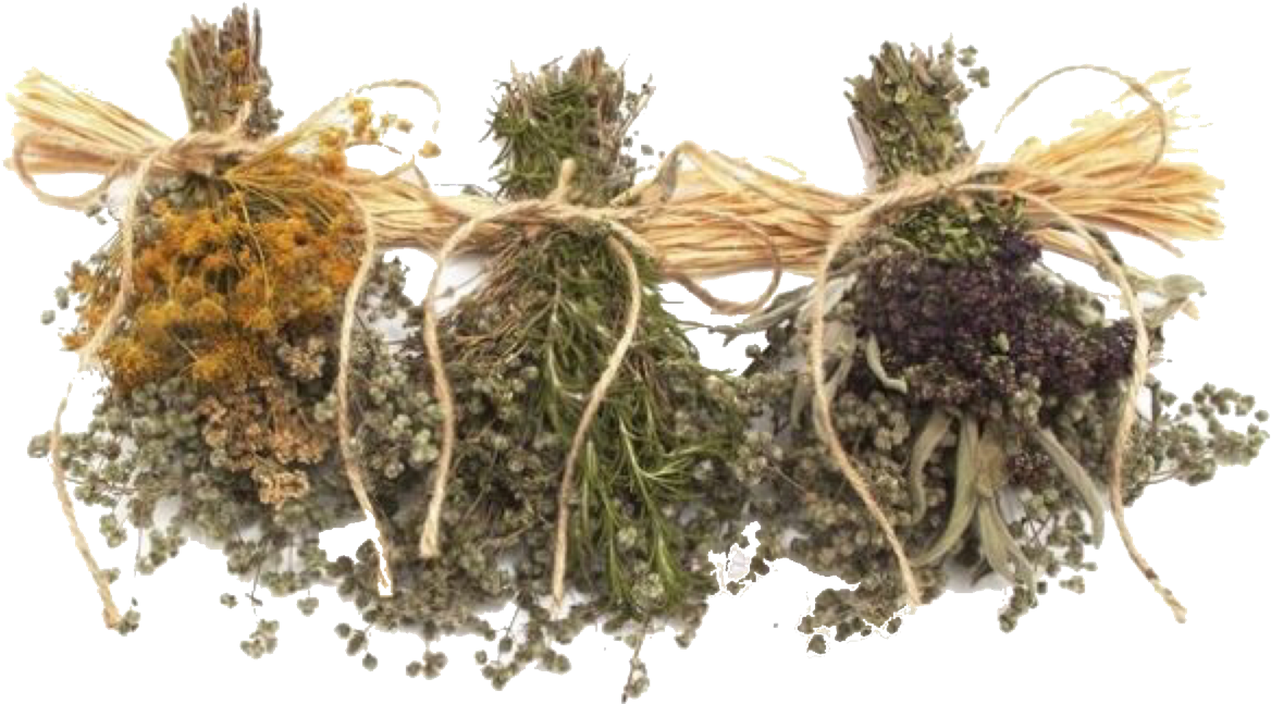 Download Pngs /like Or Reblog If Used/ - Flower Bouquet - Full Size PNG ...