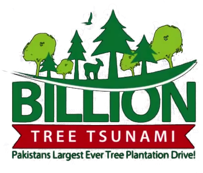 Download Billion Tree Tsunami Afforestation Project - Full Size PNG ...