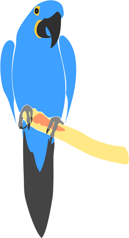 Download Hyacinth Macaw Drawing - Blue Macaw Vector Png - Full Size PNG ...