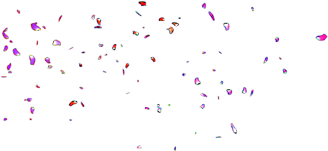 Download Flower Petal Png - Illustration - Full Size PNG Image - PNGkit