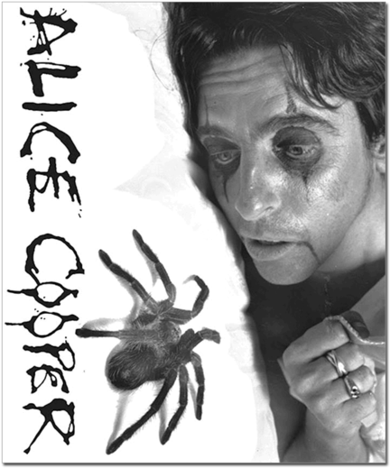 Download Sleep Spider Dye Sublimation Blanket - Alice Cooper - Full ...