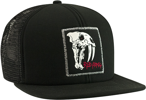 Download Red Fang Vinyl Record - Full Size PNG Image - PNGkit