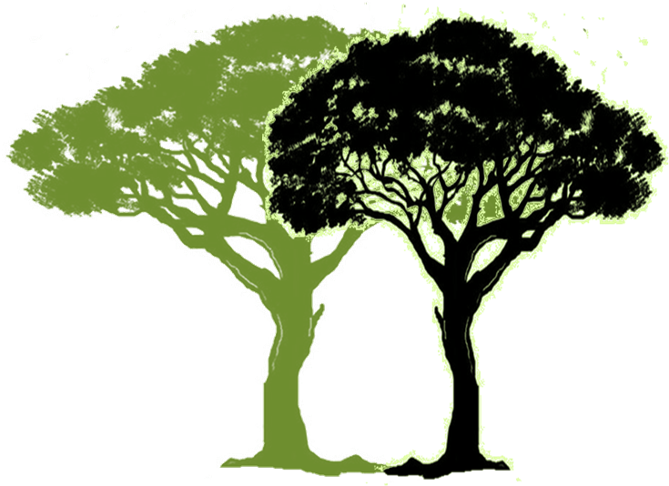 Download Links & Resources - Tree Of Life - Full Size PNG Image - PNGkit