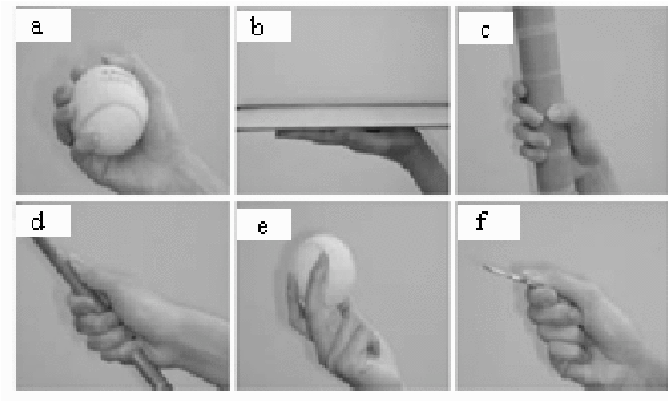 Download Power B - Types Of Power Grasp - Full Size PNG Image - PNGkit