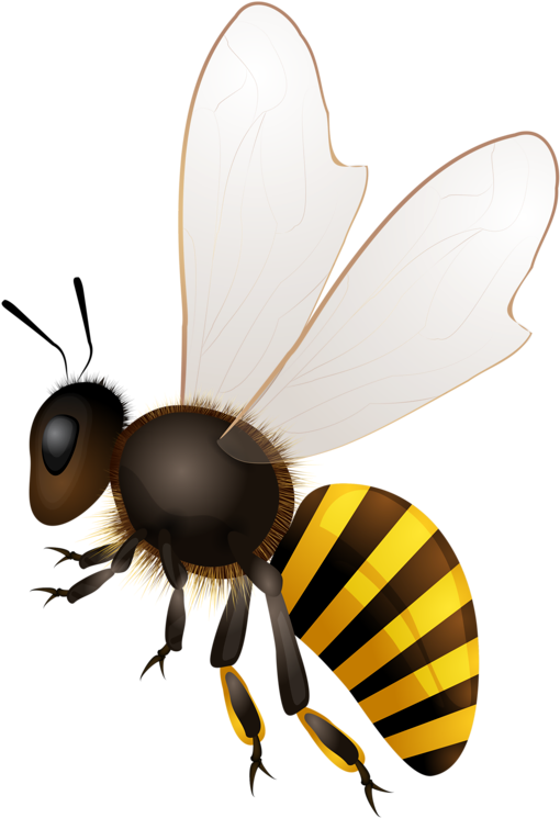 Download Abeilles Abeja Abelha Bees - Honey Bee Drawing Png - Full Size ...