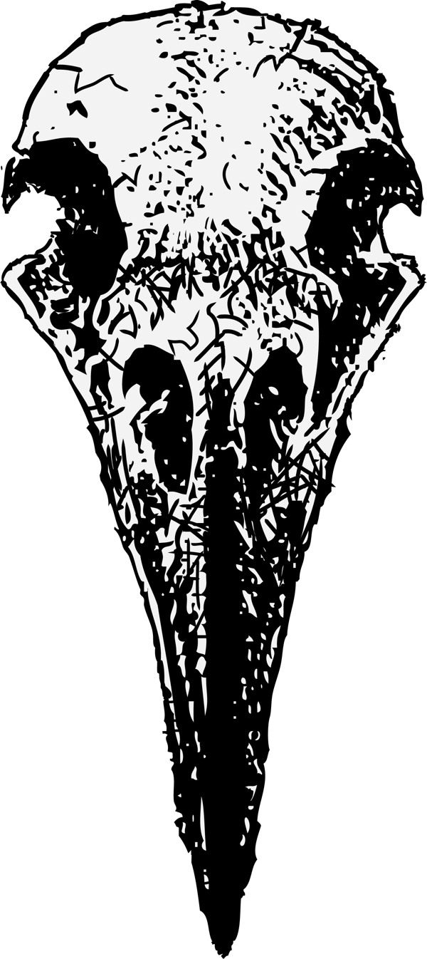 Raven Skull Front