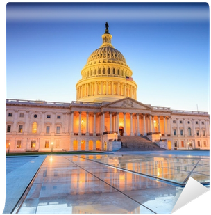 Download The United States Capitol Building Wall Mural • Pixers ...