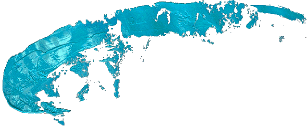 Download Light Blue Paint Brush - Full Size PNG Image - PNGkit