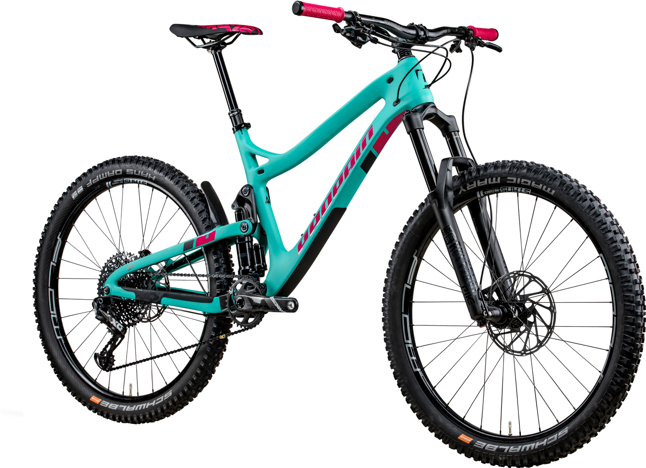 Download Tyee - Full Size PNG Image - PNGkit