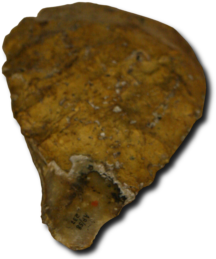 Download Enlarge - Abri Pataud - Full Size PNG Image - PNGkit