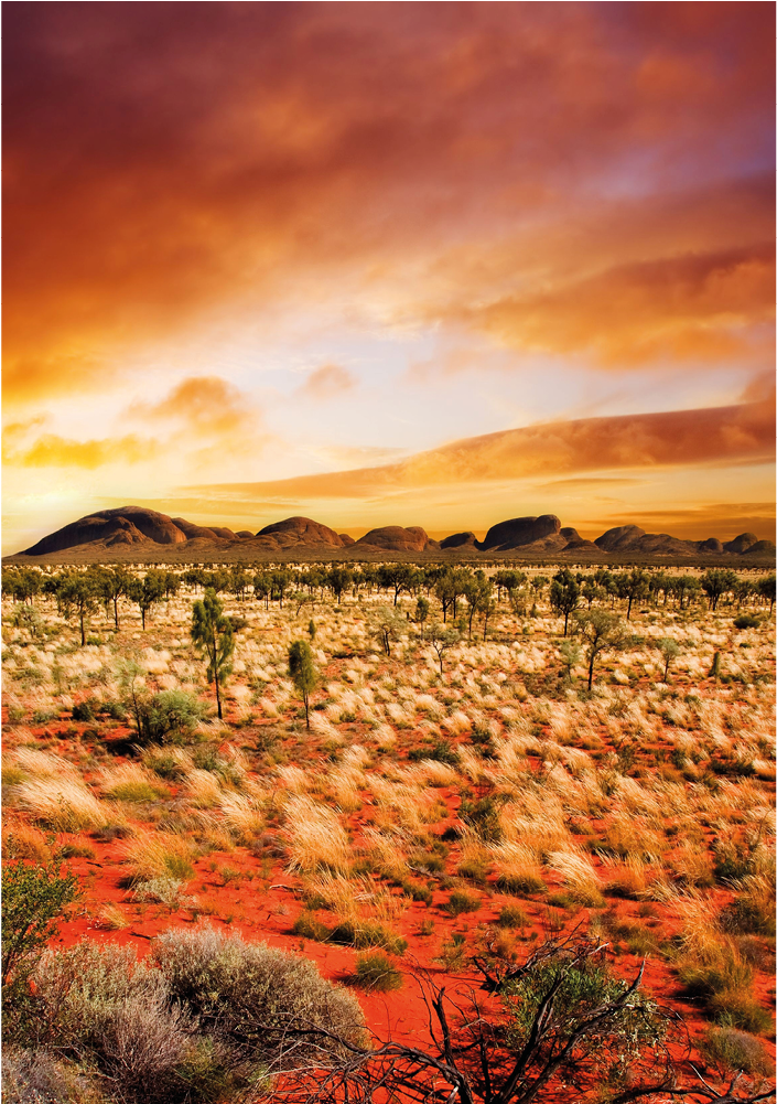 Download Australia, Tanami Desert - Kata Tjuta - Full Size PNG Image ...