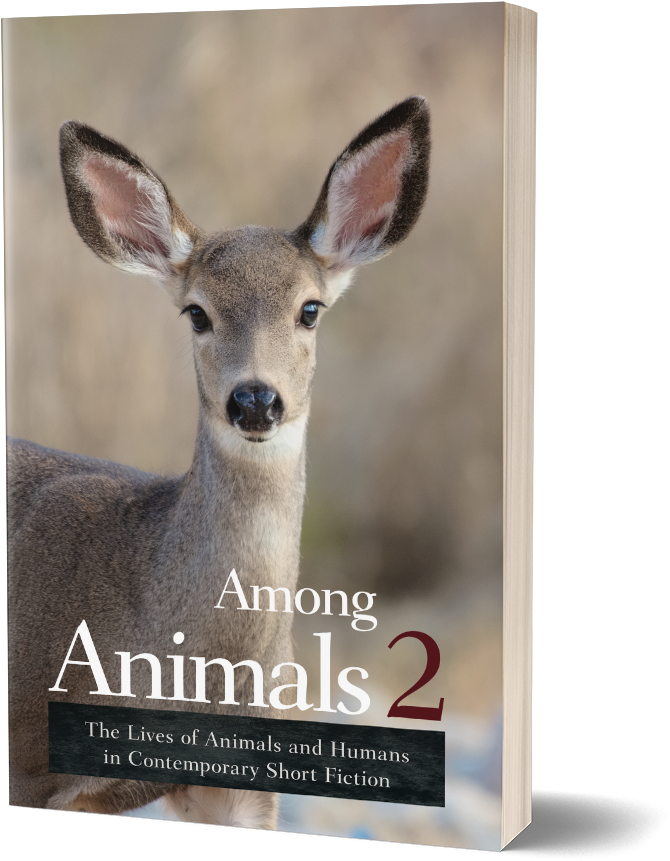 Download Among Animals - Among Animals 2: The Lives Of Animals - Full ...