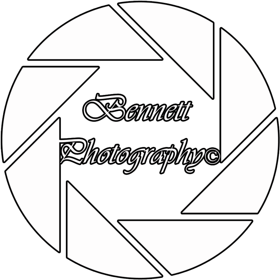 Download Bennett Photography - Full Size PNG Image - PNGkit