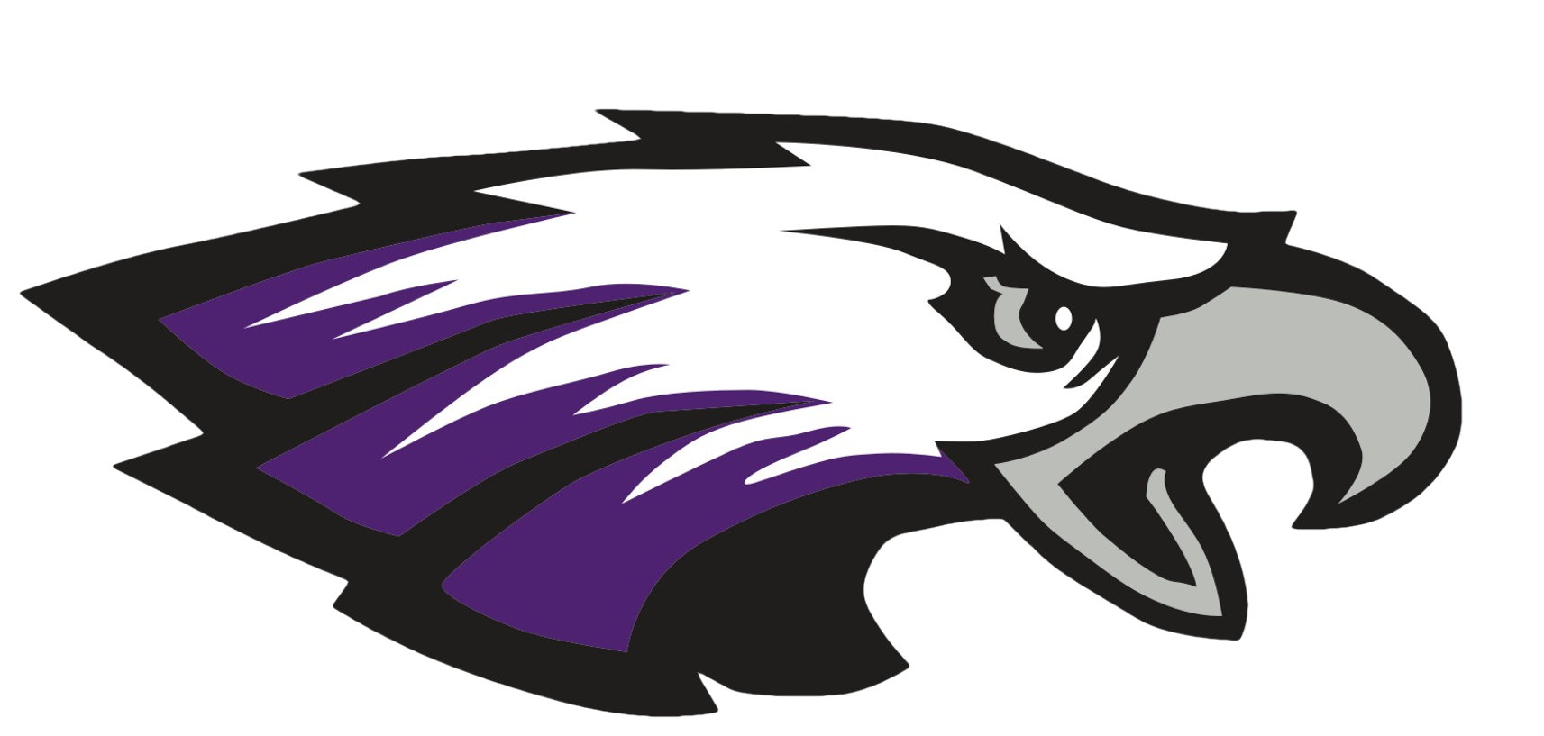 Download Scott High School Eagle - Full Size PNG Image - PNGkit