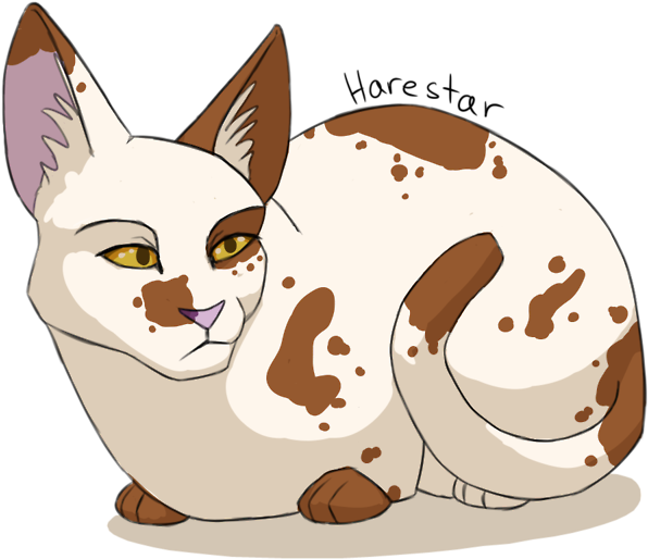 Download 22 - Harestar - Warriors - Full Size PNG Image - PNGkit