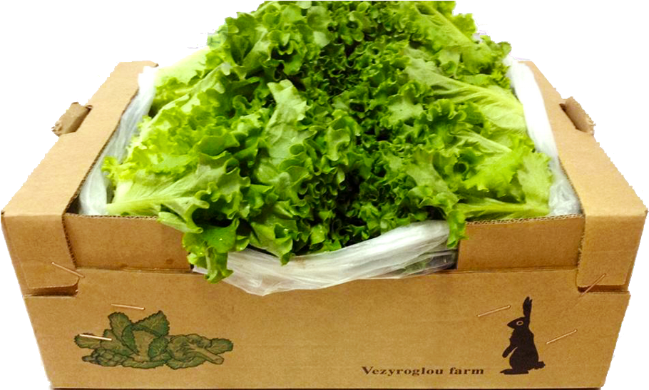 Download Batavia 6 Kg - Leaf Vegetable - Full Size PNG Image - PNGkit