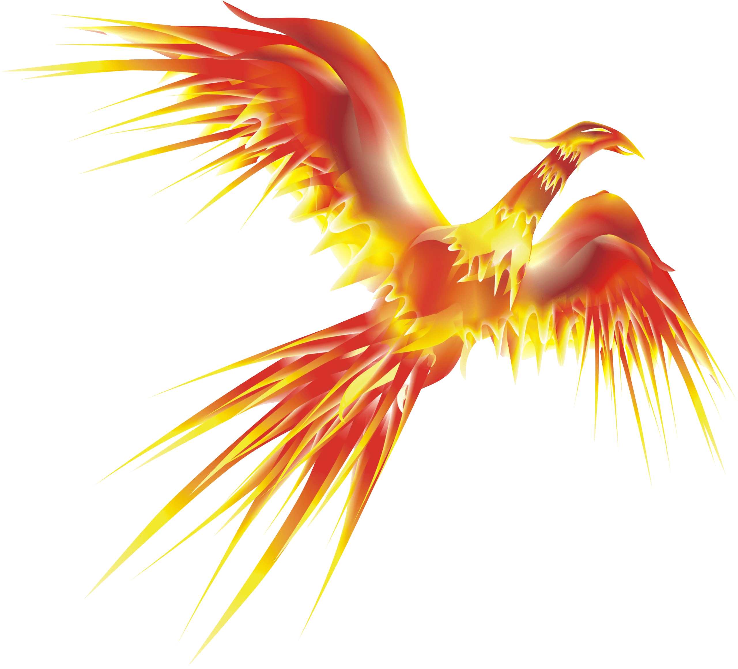 Download Phoenix Png Transpa Images Pluspng - Fenix Corel Draw - Full ...