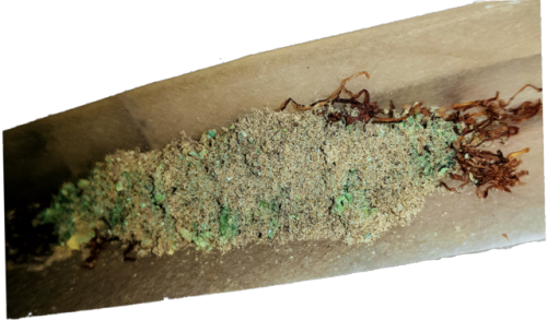 Download Transparent Pre-rolled Joint For You All - Blunt - Full Size ...