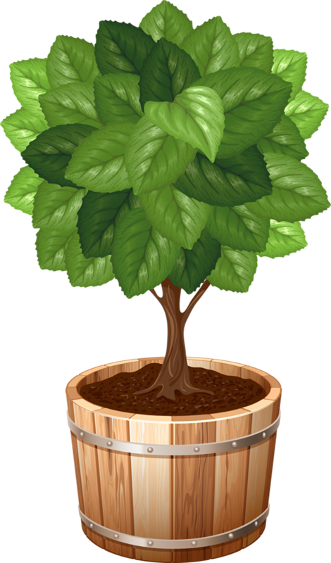 Download Pot Plant Clipart File - Potted Tree Clip Art - Full Size PNG ...
