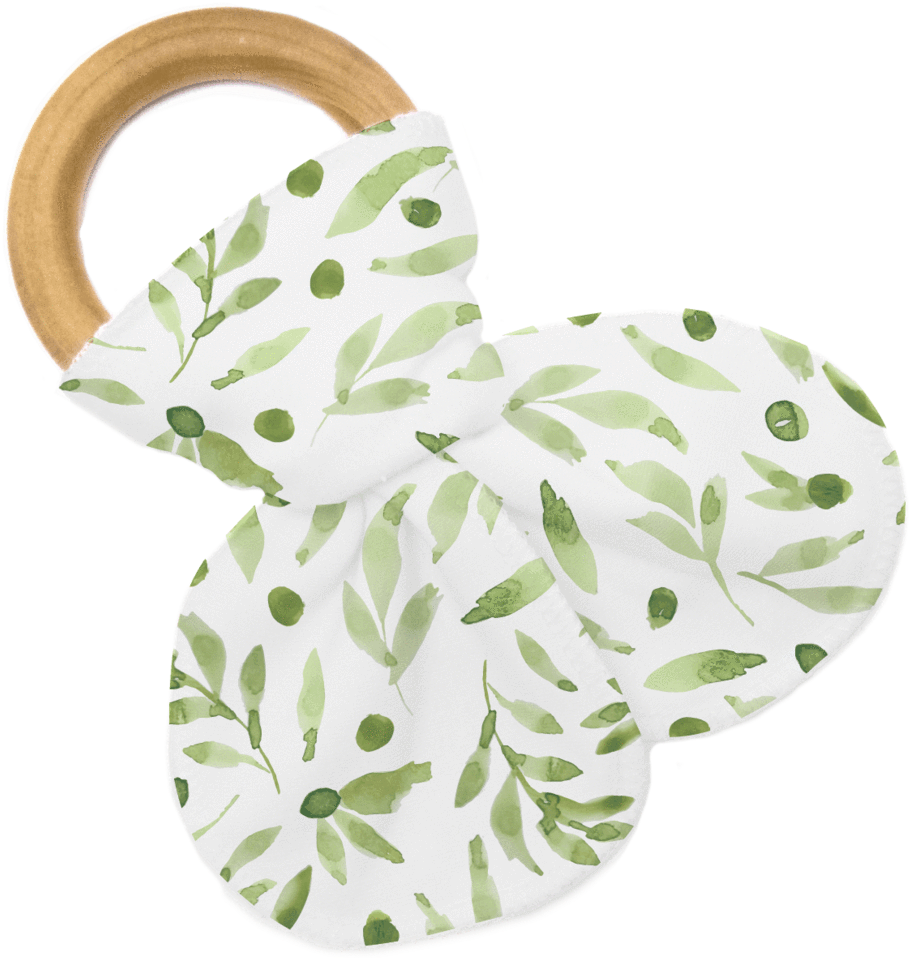 Download Olive Branch - Butterfly - Full Size PNG Image - PNGkit