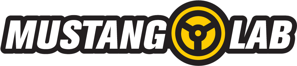 Download Mustanglab - Com - 24 Hours Lemons Logo Png - Full Size PNG Image - PNGkit