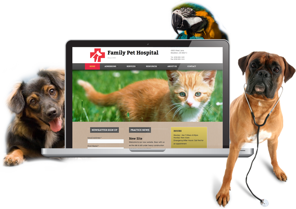 Download Compassion & Knowledge For Your Pets, Paw-fected - Friends ...