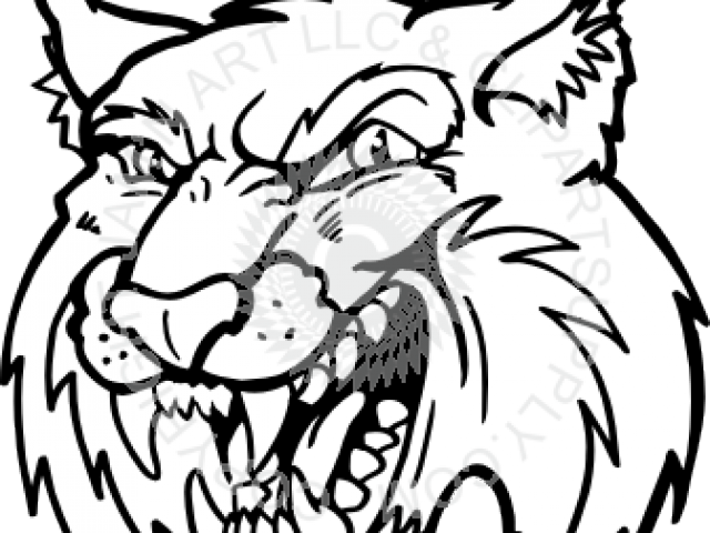 Download Cougar Clipart Bobcat - Bobcat Clip Art - Full Size PNG Image ...