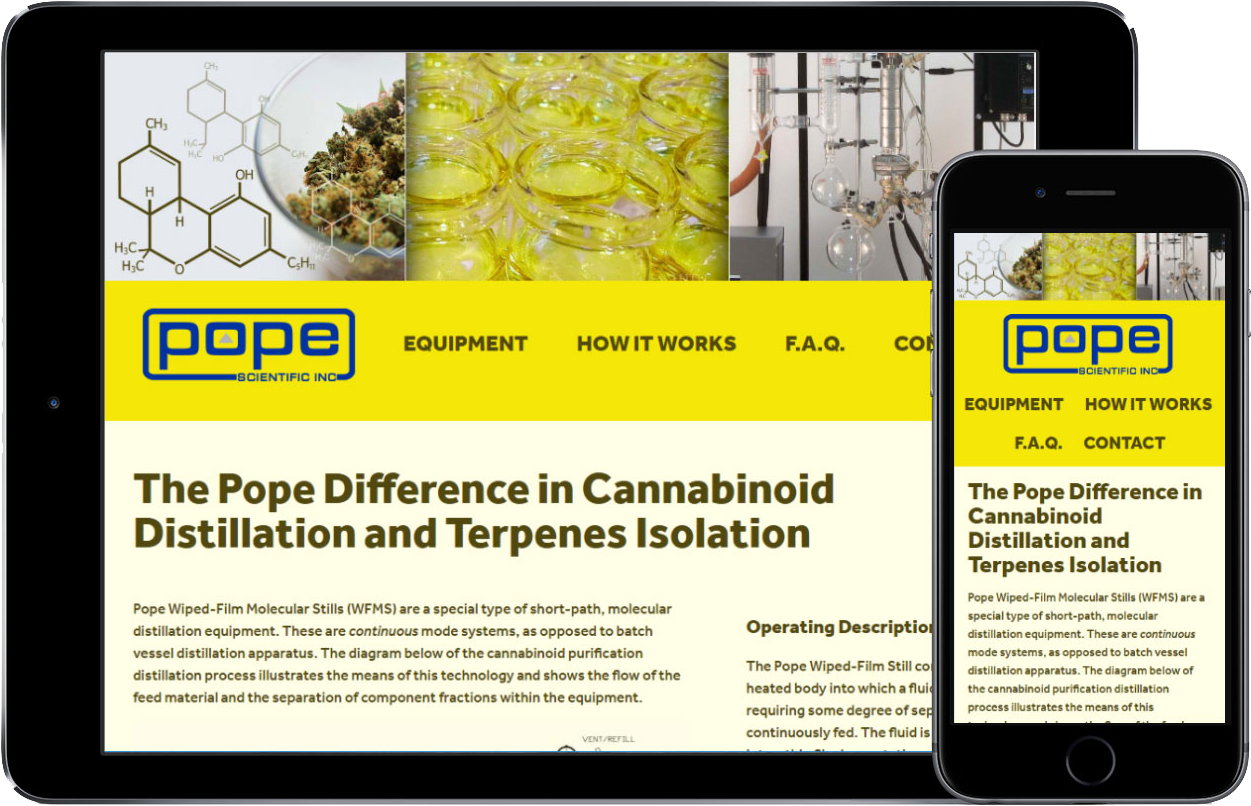 Download Naveo Announces The Launch Of A New Website For Pope - Mobile ...