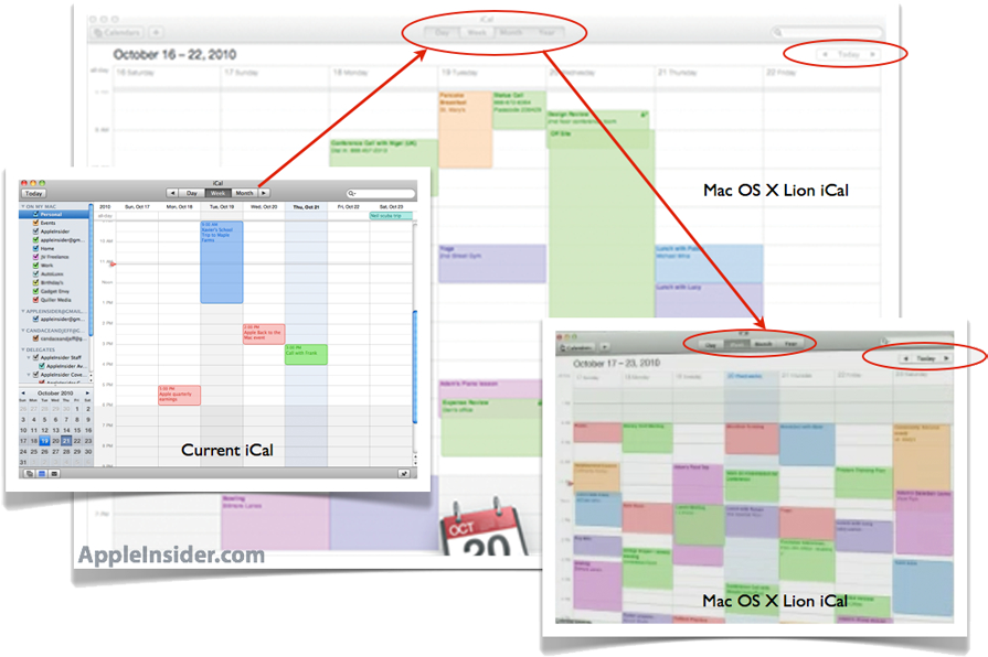 Download Lion - Color Scheme For Ical - Full Size PNG Image - PNGkit
