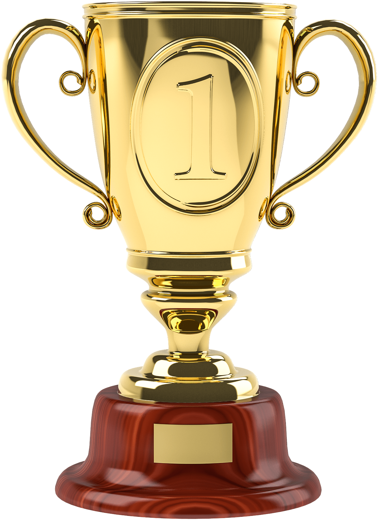 Download Winning-transparent - Special Awards - Full Size PNG Image ...