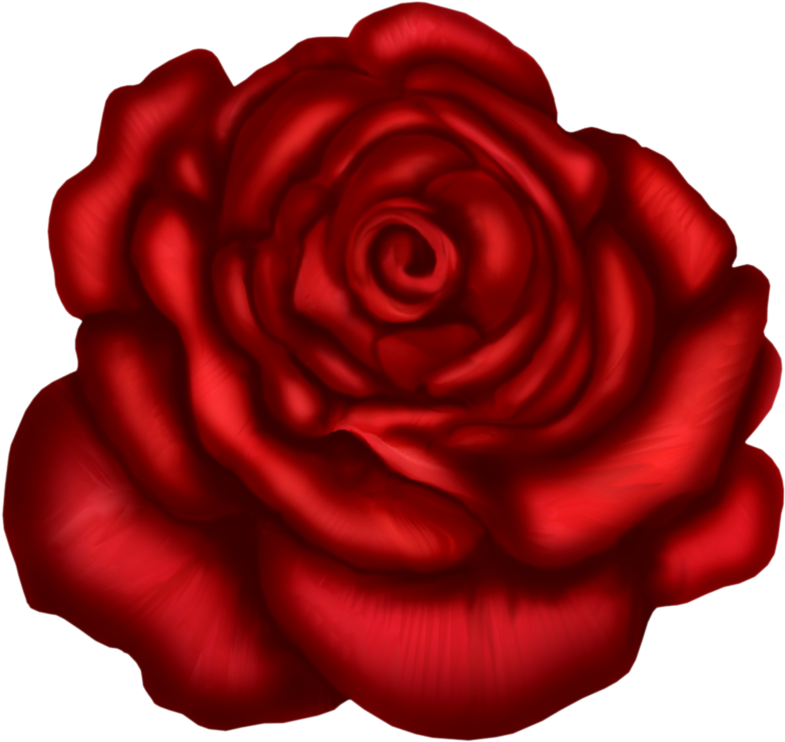 Download Red Rose Art Picture - Floribunda - Full Size PNG Image - PNGkit