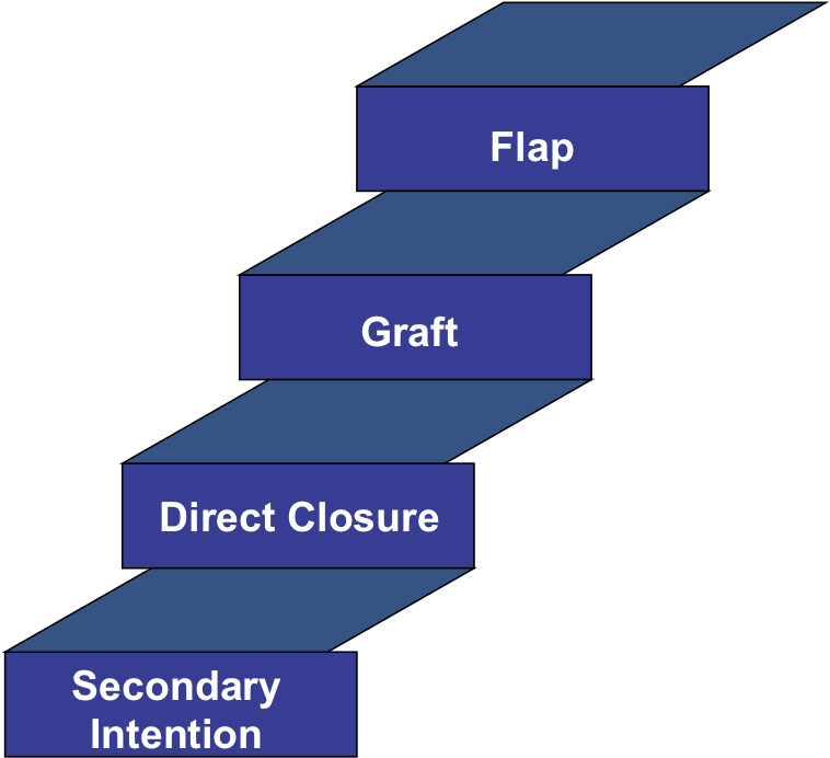 Download How To Fill A Hole - Reconstructive Ladder In Plastic Surgery ...