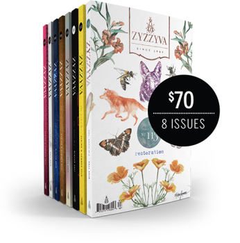 Download Zyzzyva 8-issue Subscription - Zyzzyva - Full Size PNG Image ...