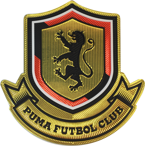 Download Gold Puma Badge - Puma Fc - Full Size PNG Image - PNGkit