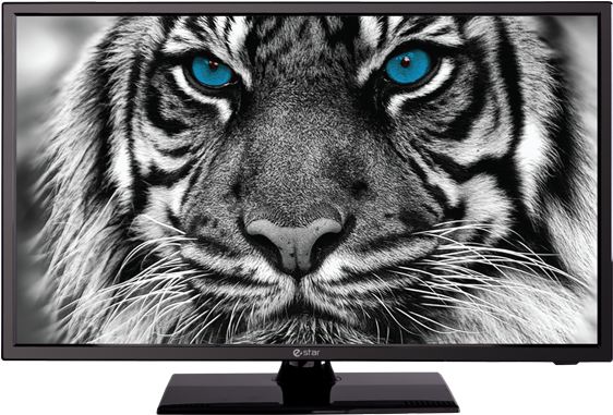 Download Ledtv 24d1t1 Ledtv Front - Estar D1t1 32 Inch Led Tv Hd 8 Kg ...