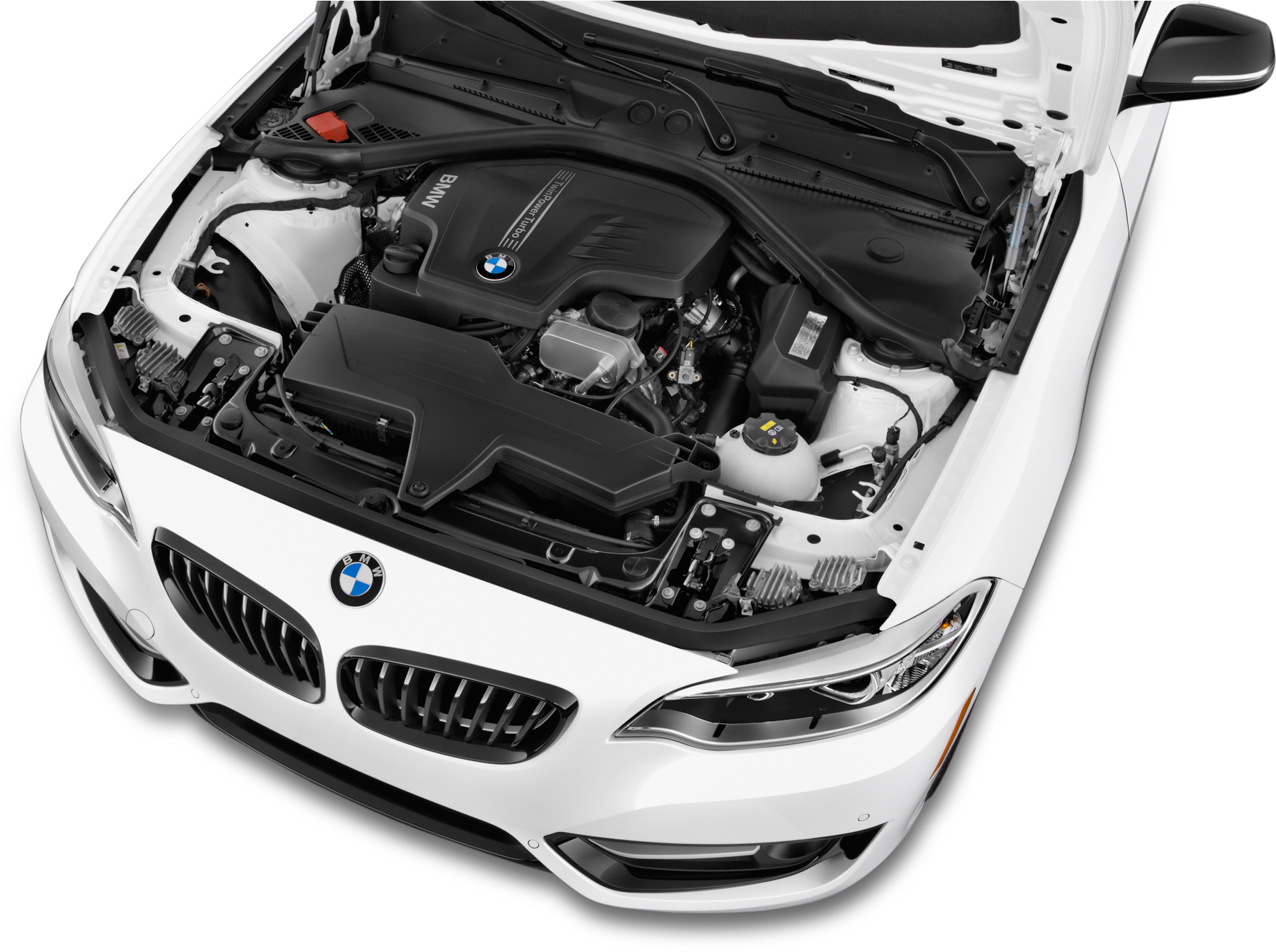 Download Beepa Fraps - Full Size PNG Image - PNGkit