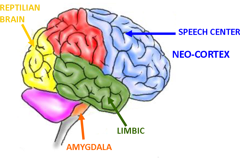 Download Let's Put All Of This Into Context Imagine You Are - Full Size ...