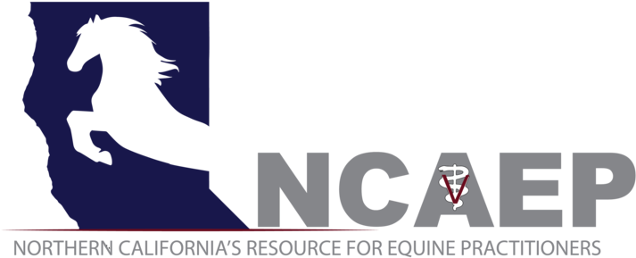 Download Ncaep Unlined Long Tagline-01 - Full Size PNG Image - PNGkit