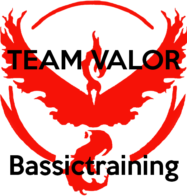 Download Team Valor Logo Png - Full Size PNG Image - PNGkit