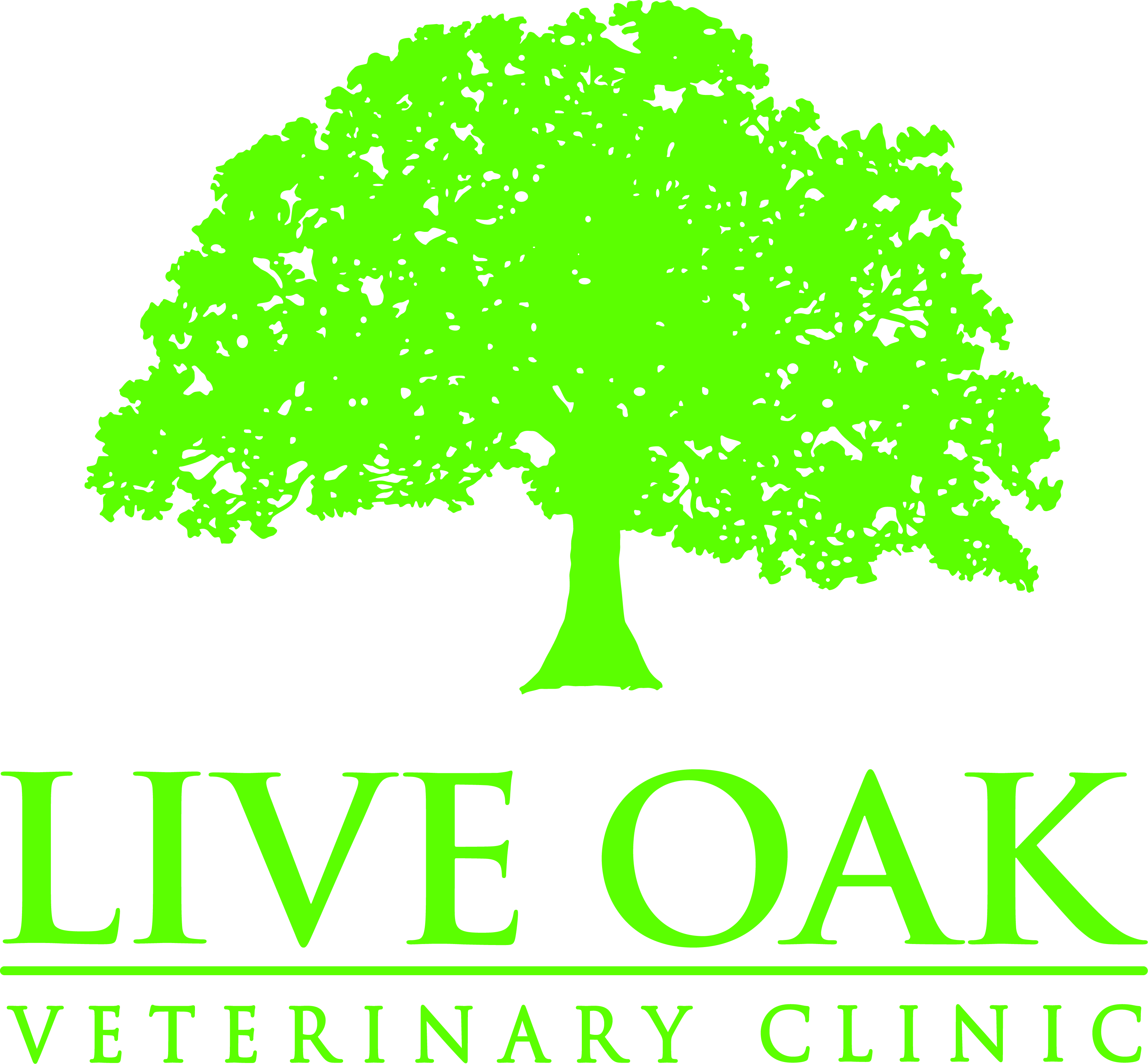 Download Live Oak Png - Full Size PNG Image - PNGkit
