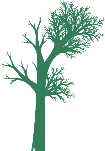 Download Street Tree Png - Full Size PNG Image - PNGkit